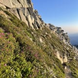 Hidden Lake Lookout, Washington - 2,049 Reviews, Map | AllTrails