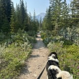 Widow Maker Trail, Alberta, Canada - 589 Reviews, Map | AllTrails