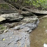 Unity Village Nature Trail, Missouri - 1,648 Reviews, Map | AllTrails