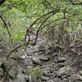 Unity Village Nature Trail, Missouri - 1,648 Reviews, Map | AllTrails