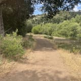 Sweetwater River Loop Trail, California - 439 Reviews, Map | AllTrails