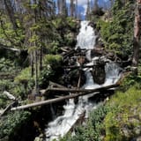 Cub Lake Loop, Colorado - 2,271 Reviews, Map | AllTrails