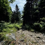 Haystack Mountain Trail, Vermont - 2,068 Reviews, Map | AllTrails