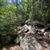 Arethusa Falls via Bemis Brook and Arethusa Falls Trails, New Hampshire ...