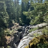 Englishman River Falls Trail, British Columbia, Canada - 1,593 Reviews ...