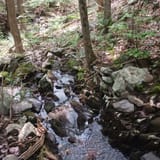 Whitestone Cliffs Trail, Connecticut - 609 Reviews, Map | AllTrails