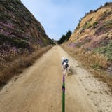 Old Colma Road Loop, California - 2,244 Reviews, Map | AllTrails