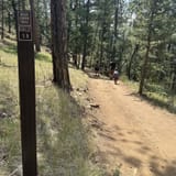 Panorama Point via Panorama Point and Bear Creek Trail, Colorado ...
