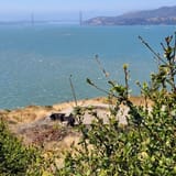 Angel Island Perimeter Loop, California - 2,065 Reviews, Map | AllTrails