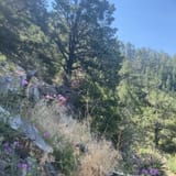 Atalaya Mountain Trail, New Mexico - 2,894 Reviews, Map | AllTrails