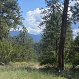 Atalaya Mountain Trail, New Mexico - 2,860 Reviews, Map | AllTrails