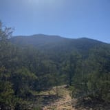Atalaya Mountain Trail, New Mexico - 2,894 Reviews, Map | AllTrails