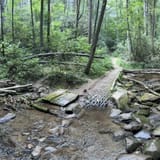 Bear Creek and Pinhoti Loop, Georgia - 603 Reviews, Map | AllTrails