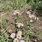 Ben Tyler Trail, Colorado - 722 Reviews, Map | AllTrails