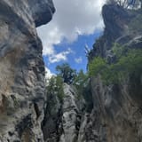 Fletcher Canyon Trail, Nevada - 2,804 Reviews, Map | AllTrails