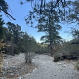 Fletcher Canyon Trail, Nevada - 2,804 Reviews, Map | AllTrails