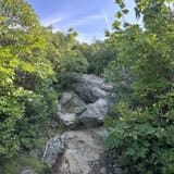 Bear Mountain Trail, Connecticut - 3,432 Reviews, Map | AllTrails