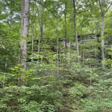 Panther Den Loop, Illinois - 1,079 Reviews, Map | AllTrails