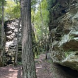 Panther Den Loop, Illinois - 1,079 Reviews, Map | AllTrails