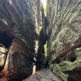 Panther Den Loop, Illinois - 1,079 Reviews, Map | AllTrails