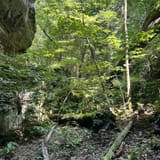 Panther Den Loop, Illinois - 1,079 Reviews, Map | AllTrails