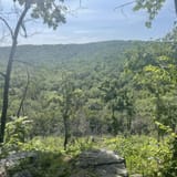 Cave Spring Loop Trail, Missouri - 379 Reviews, Map | AllTrails