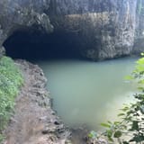 Cave Spring Loop Trail, Missouri - 379 Reviews, Map | AllTrails