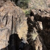 Dripping Springs Trail, New Mexico - 2,140 Reviews, Map | AllTrails