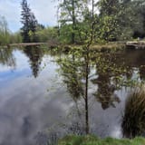 Beacon Fell Circular, Lancashire, England - 81 Reviews, Map | AllTrails