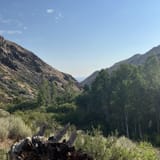 Hunter Creek Trail, Nevada - 4,835 Reviews, Map | AllTrails