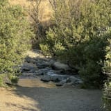 Hunter Creek Trail, Nevada - 4,835 Reviews, Map | AllTrails