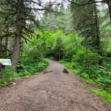 Tonsina Creek Trail, Alaska - 1,657 Reviews, Map | AllTrails