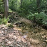 Cave Spring Loop Trail, Missouri - 401 Reviews, Map | AllTrails