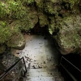 Cave Spring Loop Trail, Missouri - 381 Reviews, Map | AllTrails
