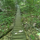 Goodnow Mountain Trail, New York - 1,382 Reviews, Map | AllTrails