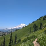 Tatoosh Ridge Trail, Washington - 430 Reviews, Map | AllTrails