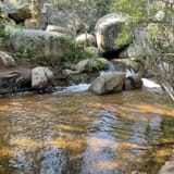Turtle Rock Loop Trail, Wyoming - 1,401 Reviews, Map | AllTrails