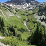 Cispus Pass and Nannie Peak via Snowgrass, PCT, and Klickitat Loop ...