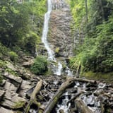 Mingo Falls Trail, North Carolina - 1,854 Reviews, Map | AllTrails