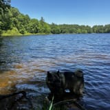 Leach Pond Trail, Massachusetts - 2,802 Reviews, Map | AllTrails