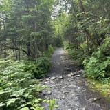 Tonsina Creek Trail, Alaska - 1,694 Reviews, Map | AllTrails