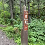 Tonsina Creek Trail, Alaska - 1,657 Reviews, Map | AllTrails