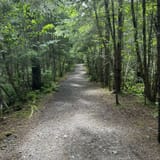 Tonsina Creek Trail, Alaska - 1,694 Reviews, Map | AllTrails