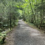 Tonsina Creek Trail, Alaska - 1,694 Reviews, Map | AllTrails
