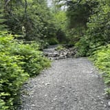 Tonsina Creek Trail, Alaska - 1,657 Reviews, Map | AllTrails