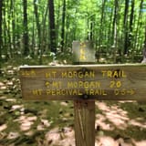 Mount Morgan Trail, New Hampshire - 847 Reviews, Map | AllTrails