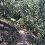 Carpenter Peak Trail, Colorado - 3,716 Reviews, Map | AllTrails
