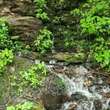 Rutledge Falls Trail, Tennessee - 666 Reviews, Map | AllTrails