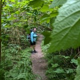 Miner's Ridge and James Irvine Loop, California - 1,842 Reviews, Map ...