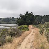 Sunset Beach Trail, California - 752 Reviews, Map | AllTrails